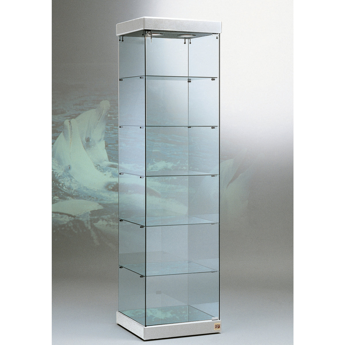 Kensington 50S Display Showcase – Display Cabinets Direct